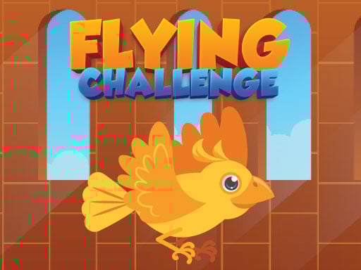 Flying Challenge - Y8 Games