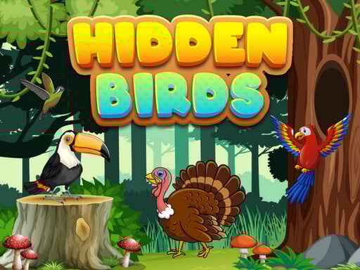 Hidden Birds - Y8 Games